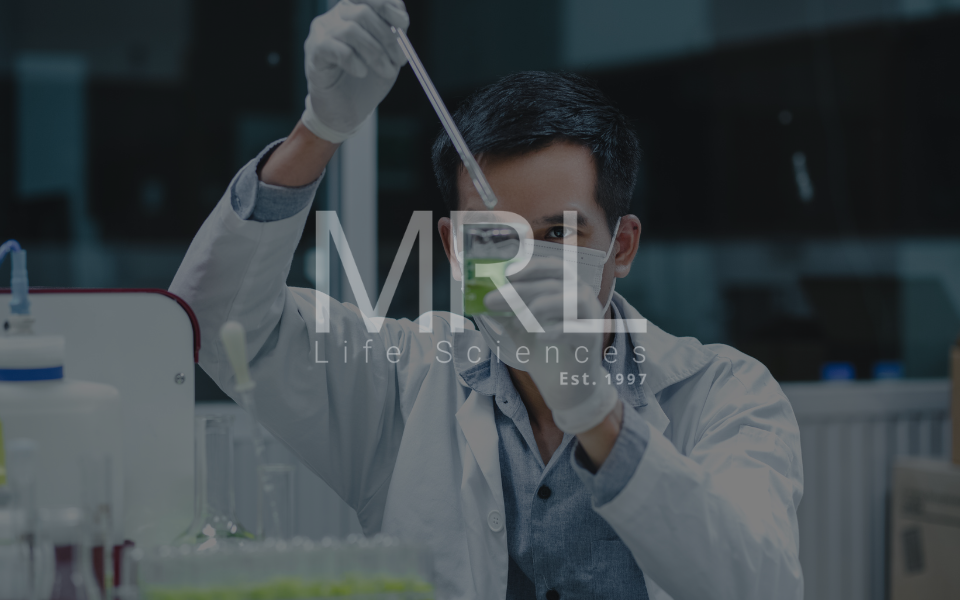 The Role of AI in Drug Discovery: Accelerating the Pipeline | MRL Recruitment